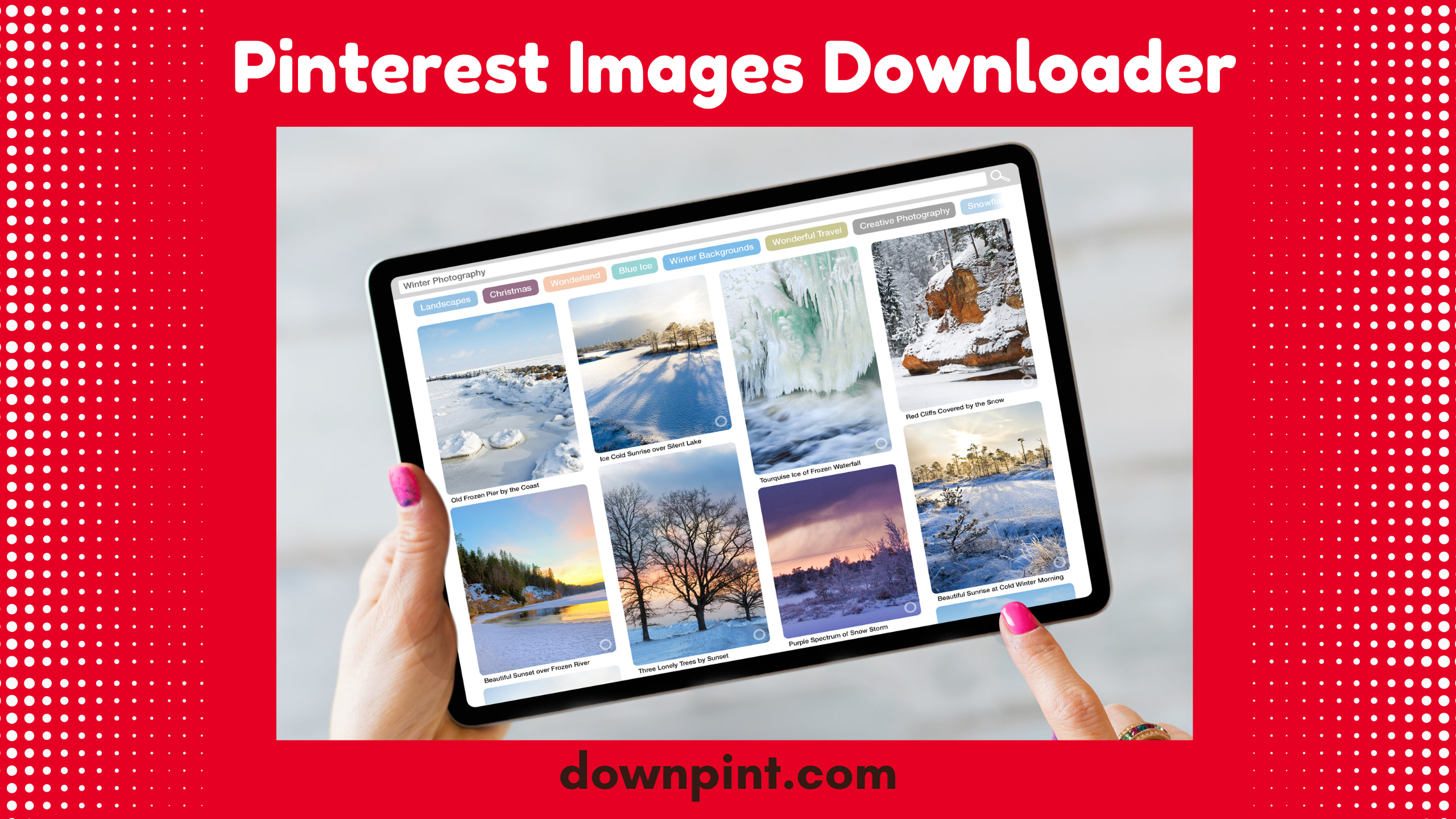 How to Download Pictures from Pinterest: A Step-by-Step Guide | Photography