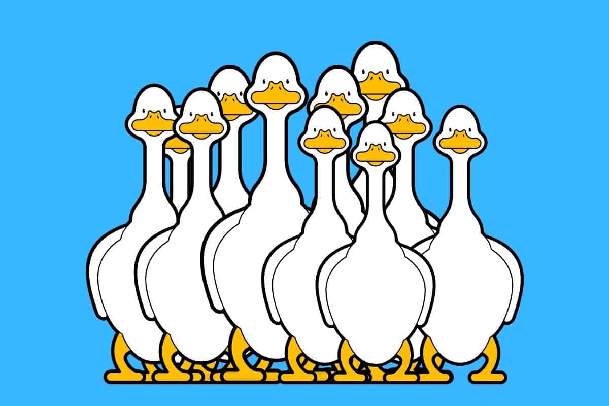 Goose puns as one-liners: | Education