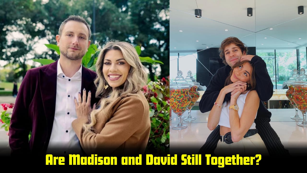 Are Madison and David Still Together? | Humans