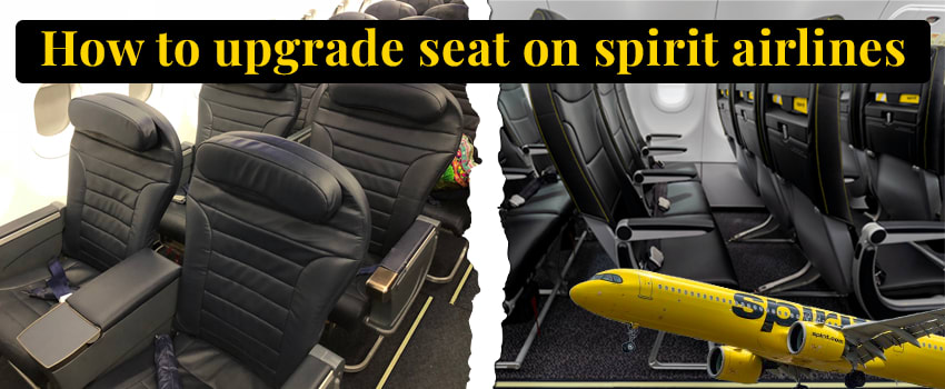 Spirit Airlines Economy Class