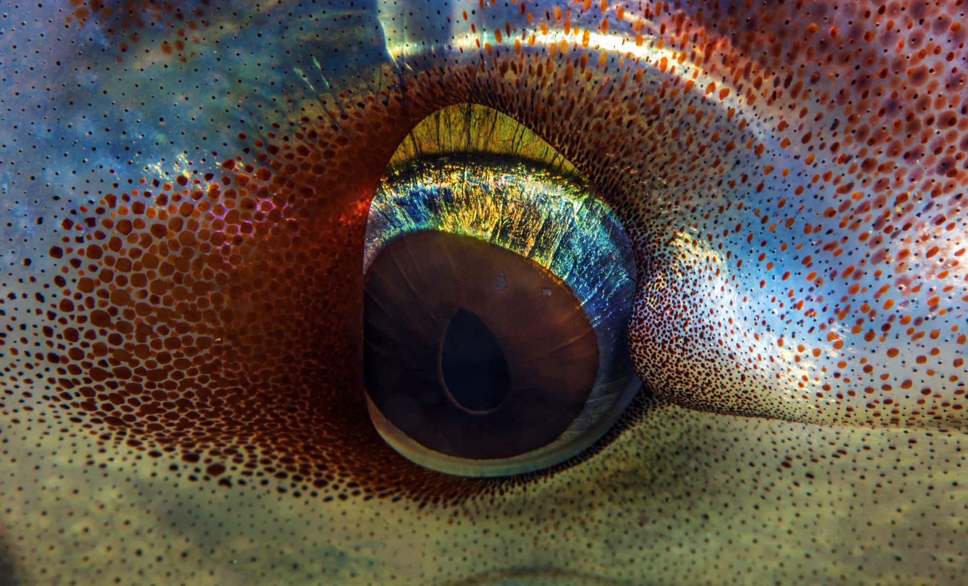 Lilboujee999 leaked videos in conclusion, I highly