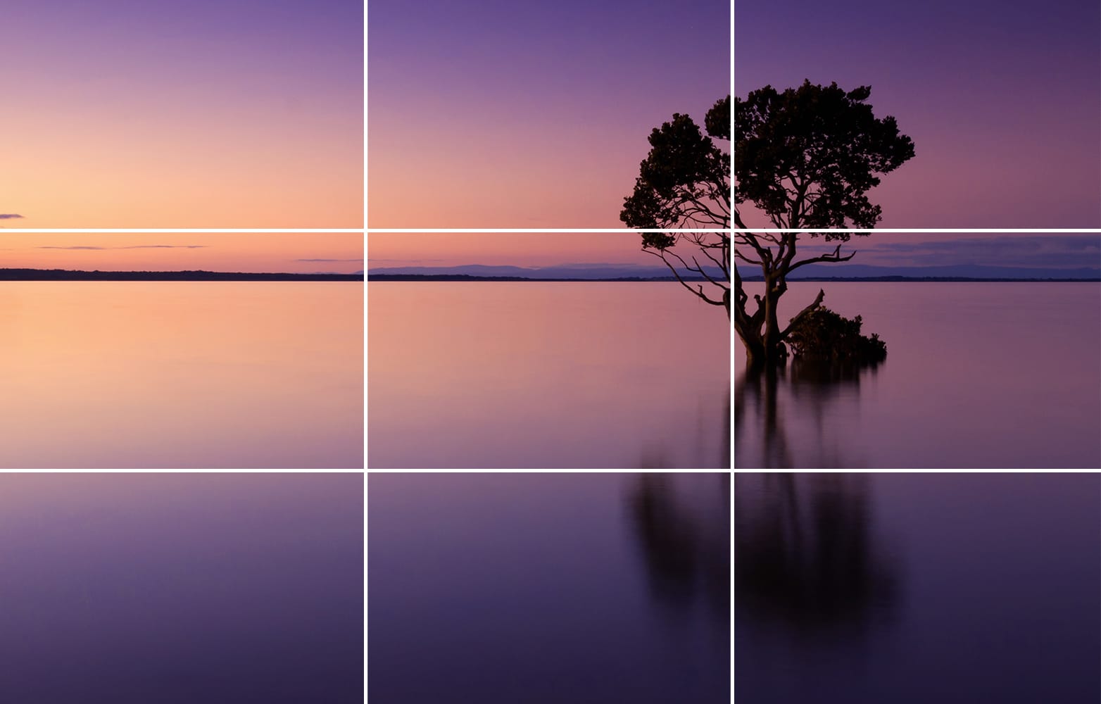 Tips For Using The Rule Of Thirds In Photography Photography