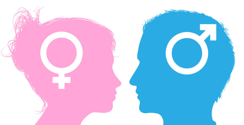 Socially Constructed Gender Roles Viva
