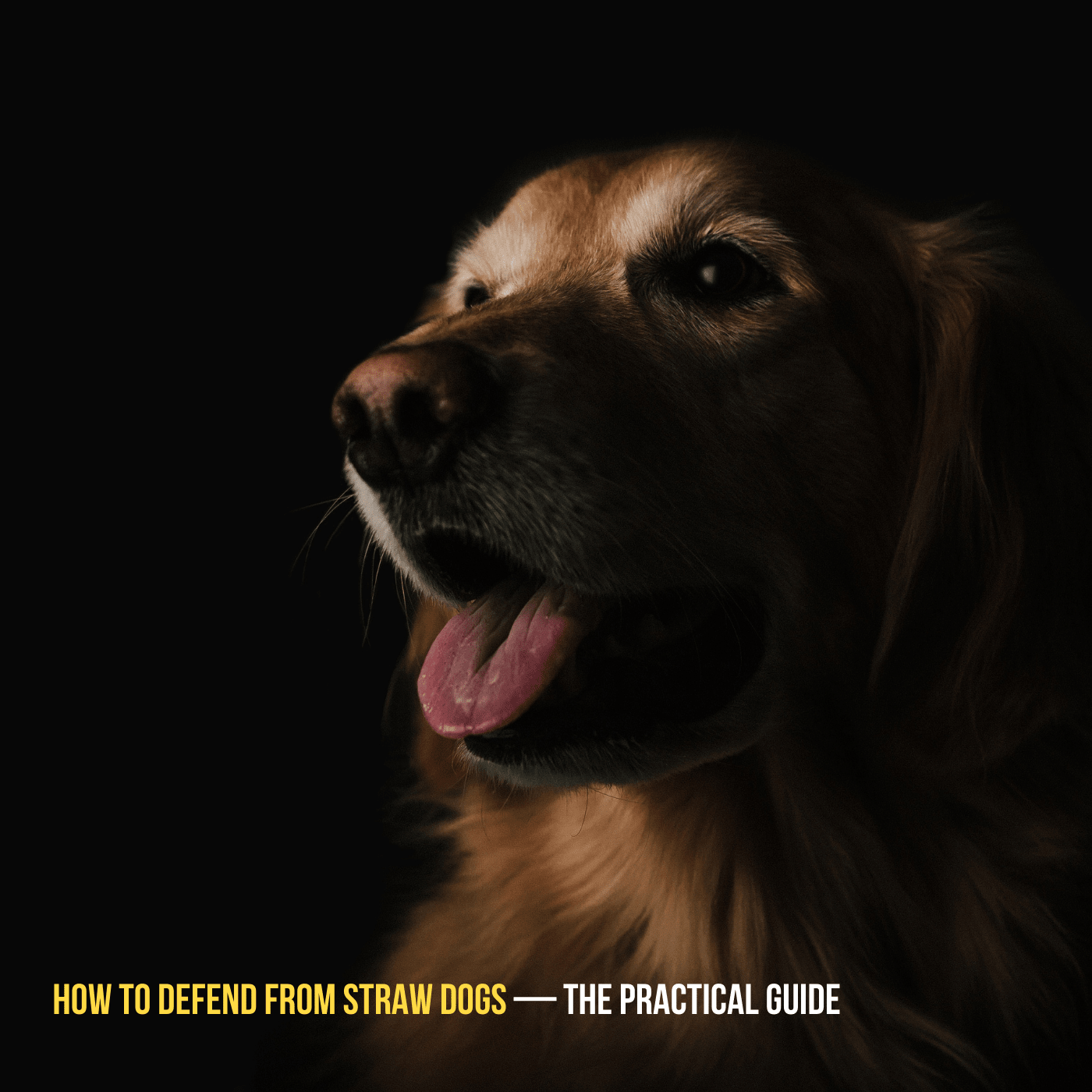 Straw Dogs