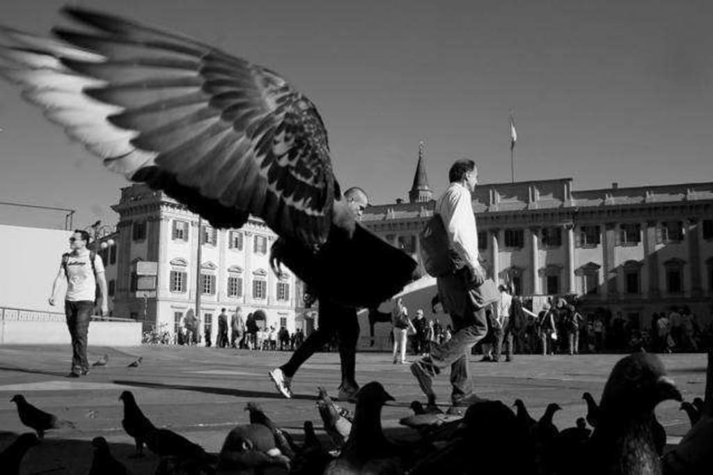 Human With Wings Real