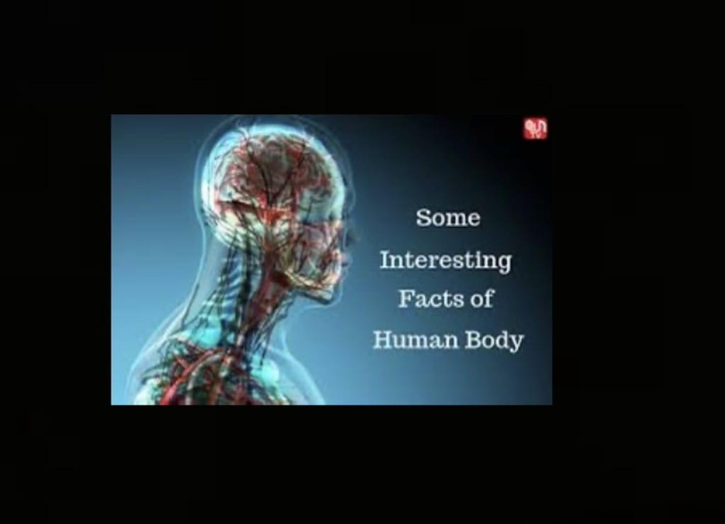 Amazing And Interesting Facts About Human Body Youtube