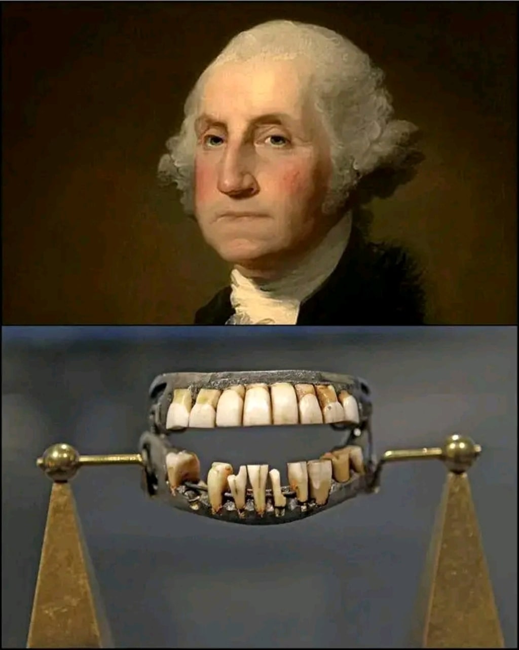 George Washingtons Teeth Made Of