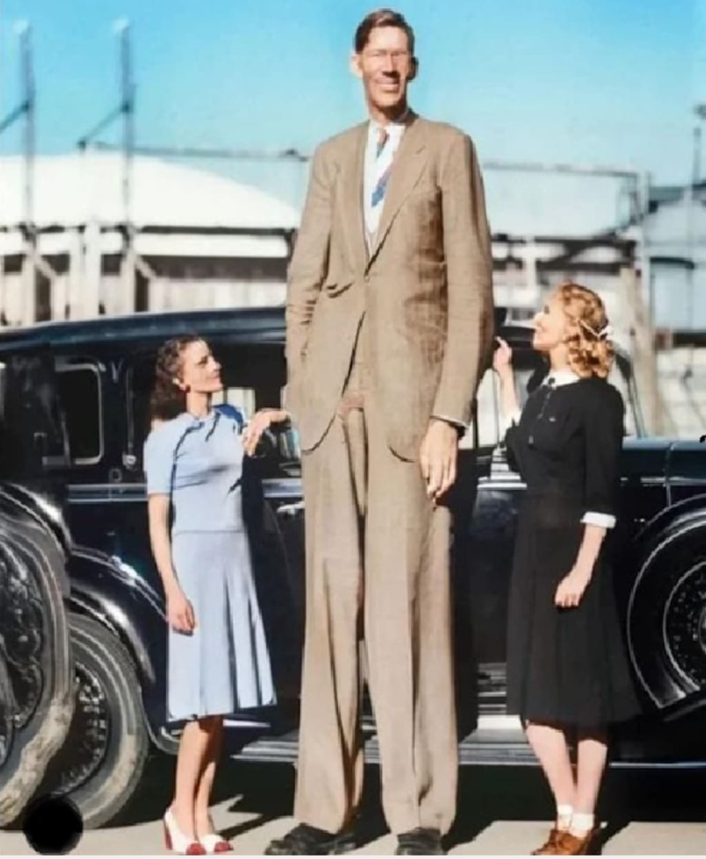 Tallest Person Ever