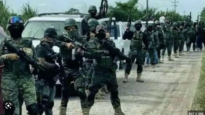 Sinaloa Cartel Criminal