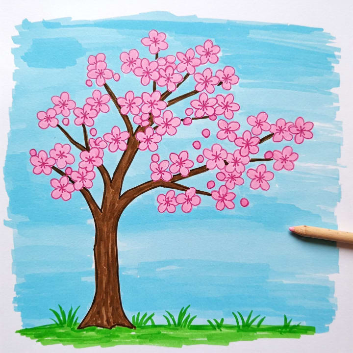 Simple Cherry Blossom Tree Drawing