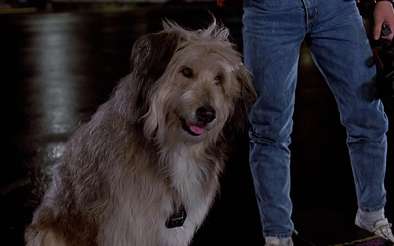 Best Pets In Science Fiction | Futurism