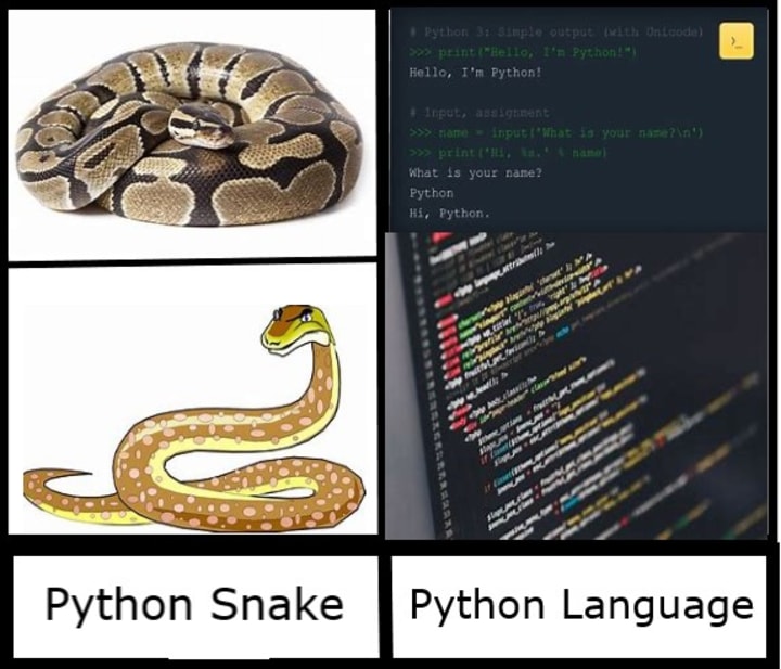 Programming-Becoming a Pythoneer | 01