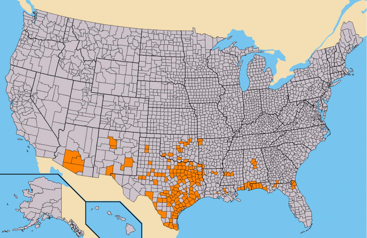 “Whataburger” Coming to Chicago, Illinois? | Feast