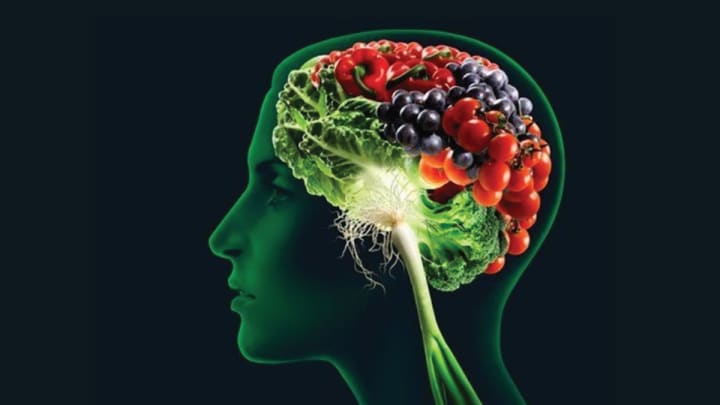 Understanding the Aging Brain | Longevity Understanding the Aging Brain | Longevity