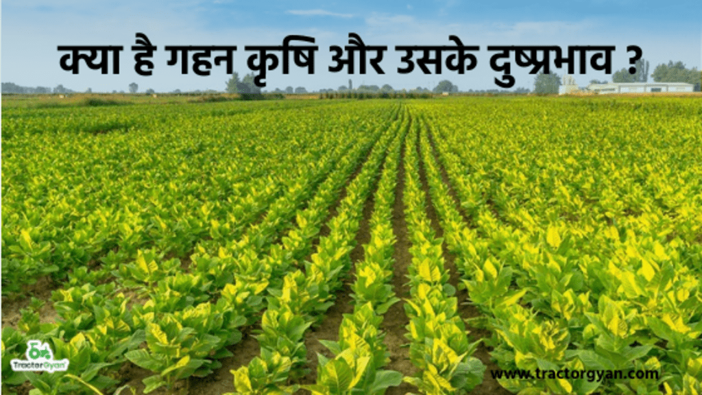 Intensive Farming Disadvantages