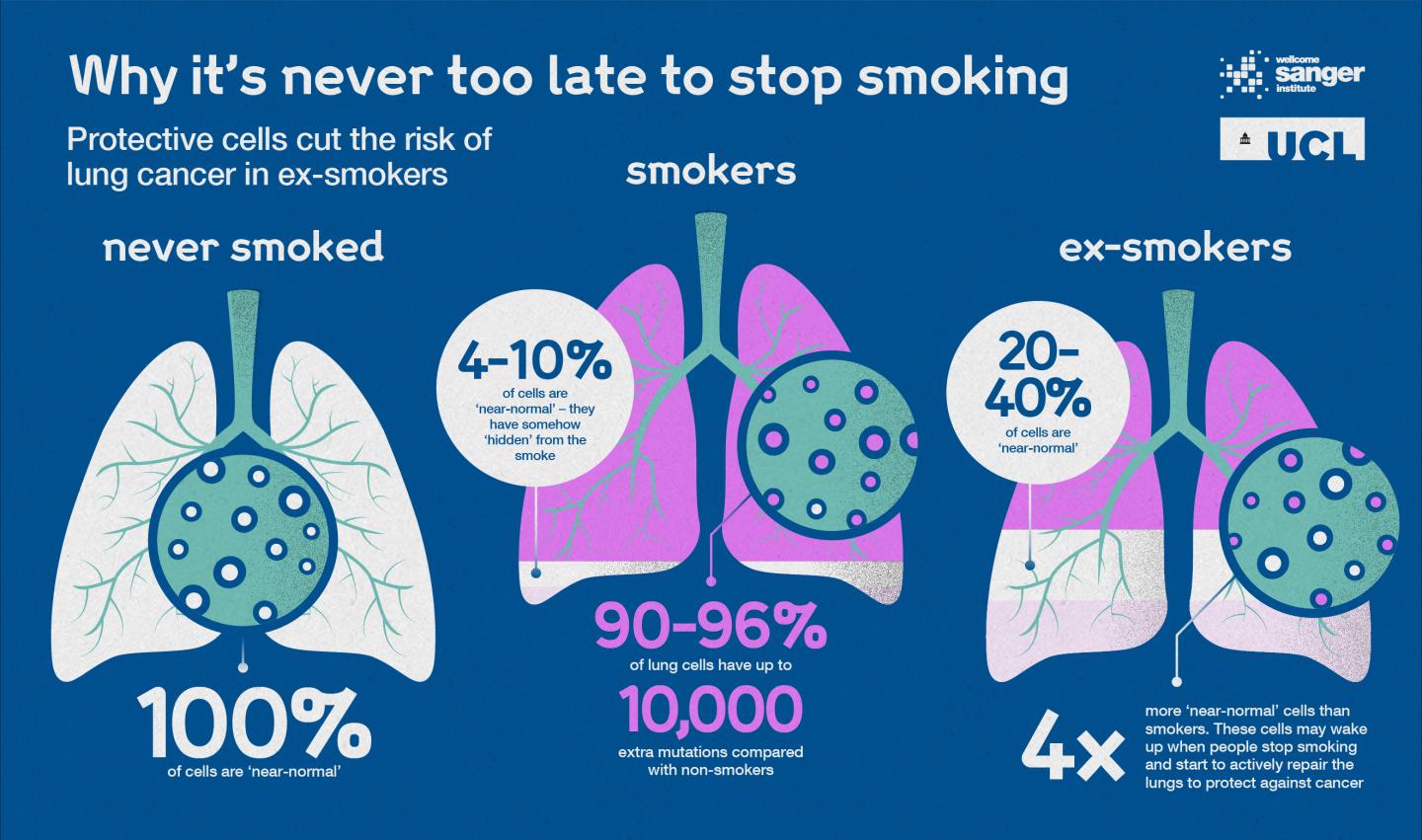 Stop Smoking Body Recovery