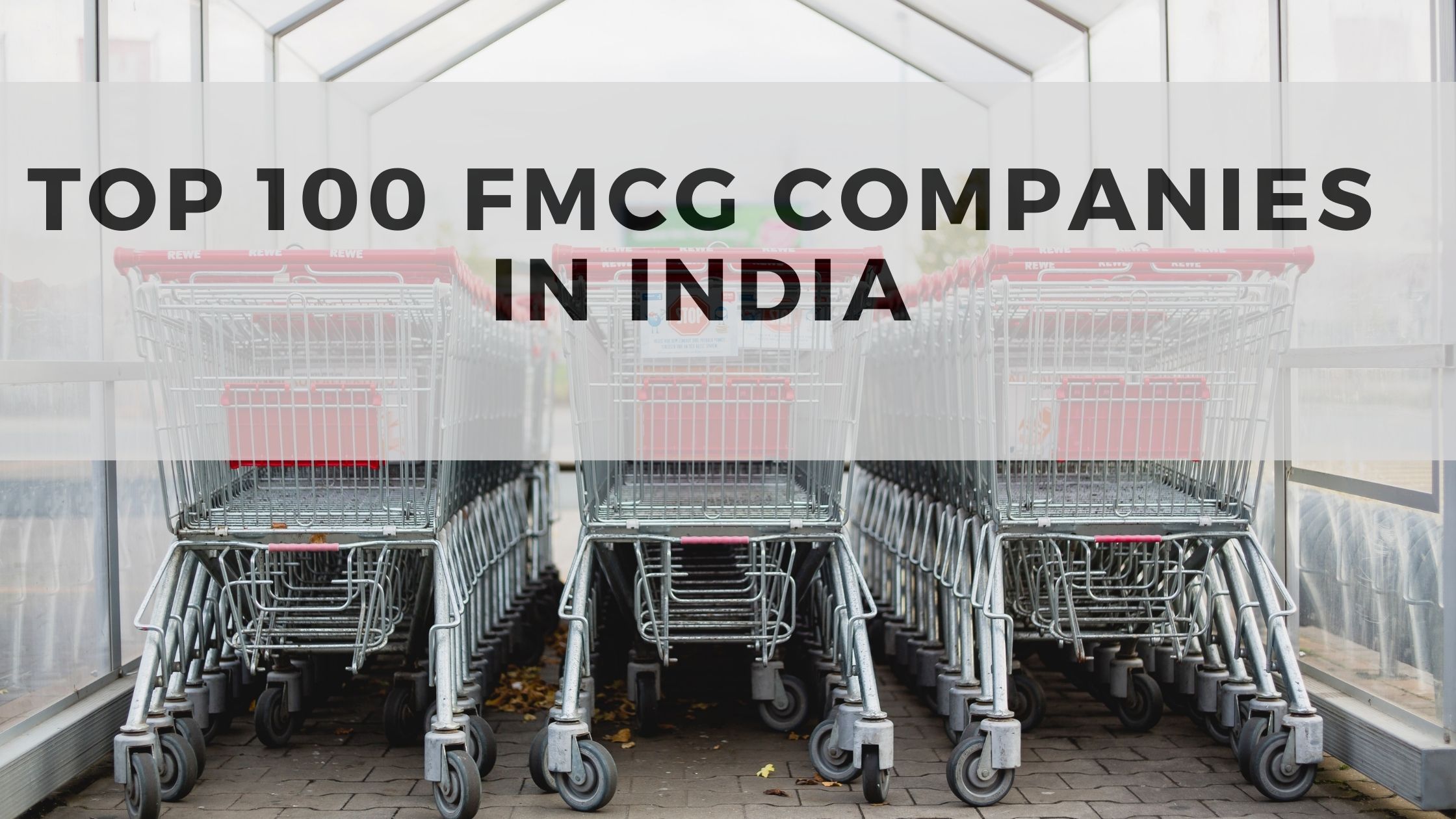 Top Fmcg Companies