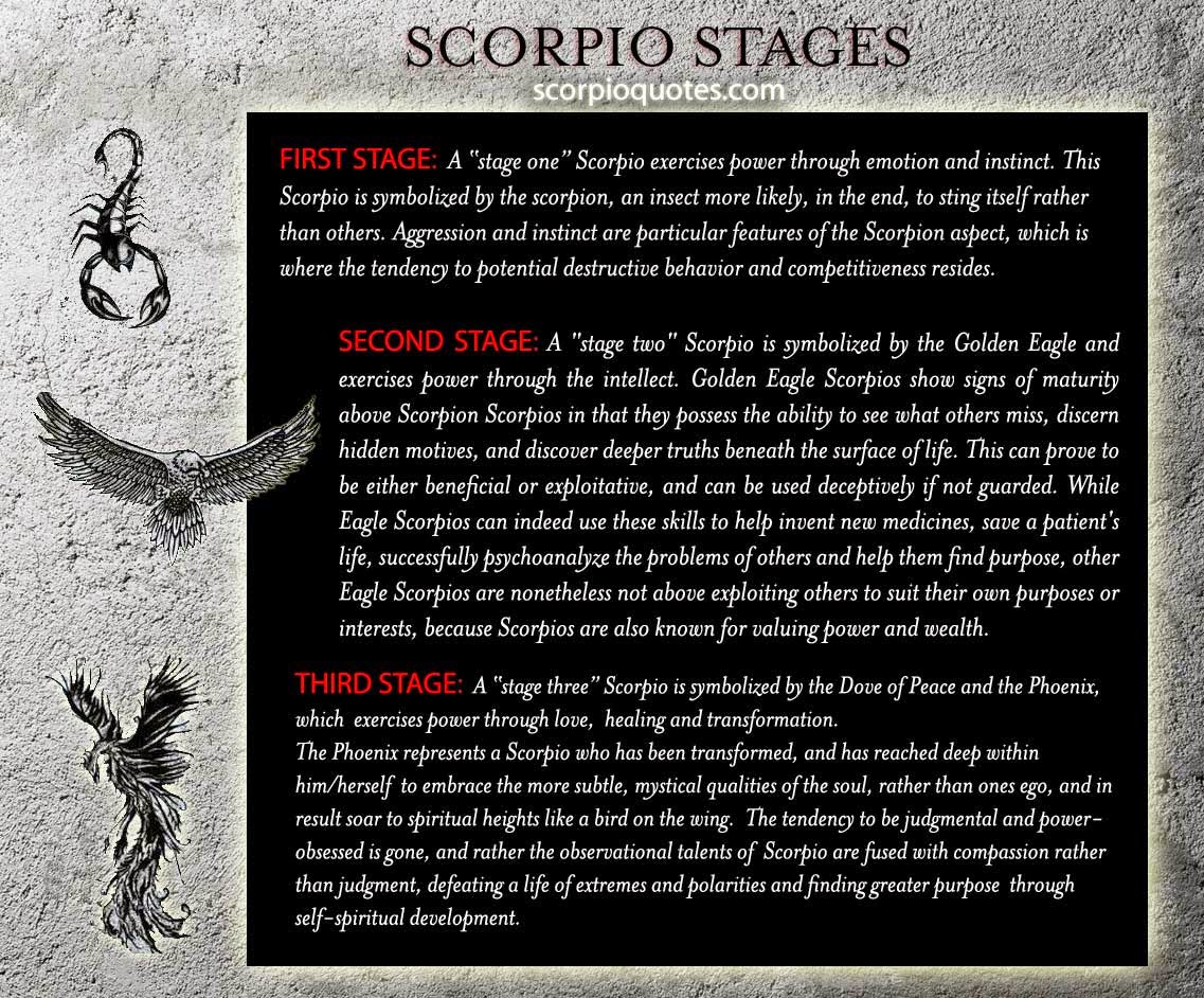 Scorpio zodiac powers 60 photos - Astrologytoyou.com