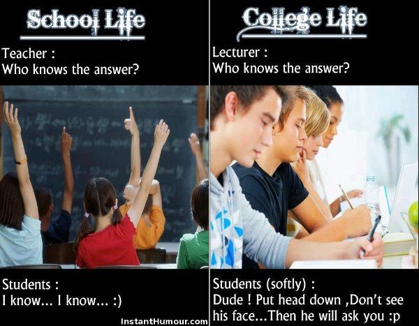 College Life Is Better Than School Life