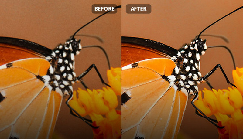 Photo Enhancer Enhance Image Quality Resolution Fotor, 44% OFF