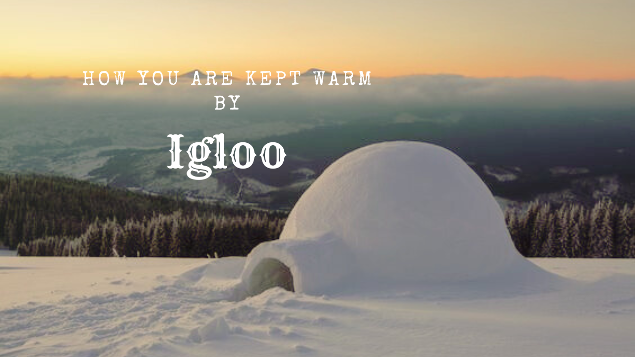 How Warm Is An Igloo Inside