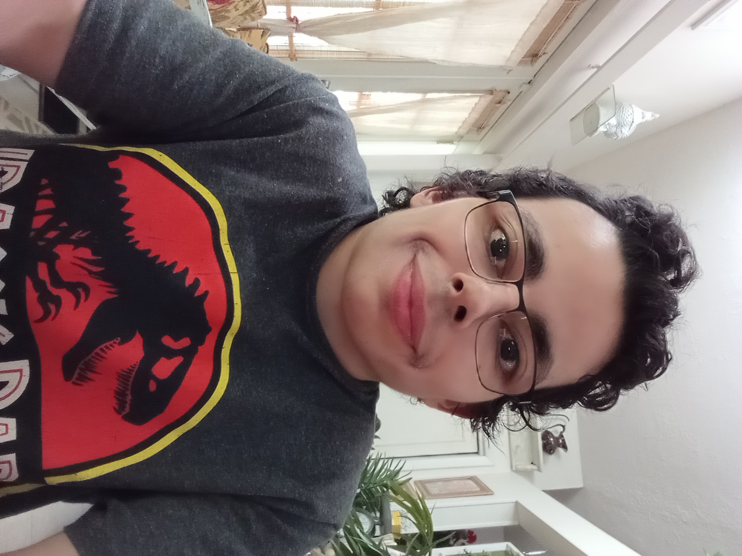 Daniel Lies's Instagram, Twitter & Facebook on IDCrawl