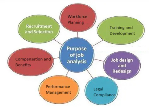 Job Design And Job Analysis