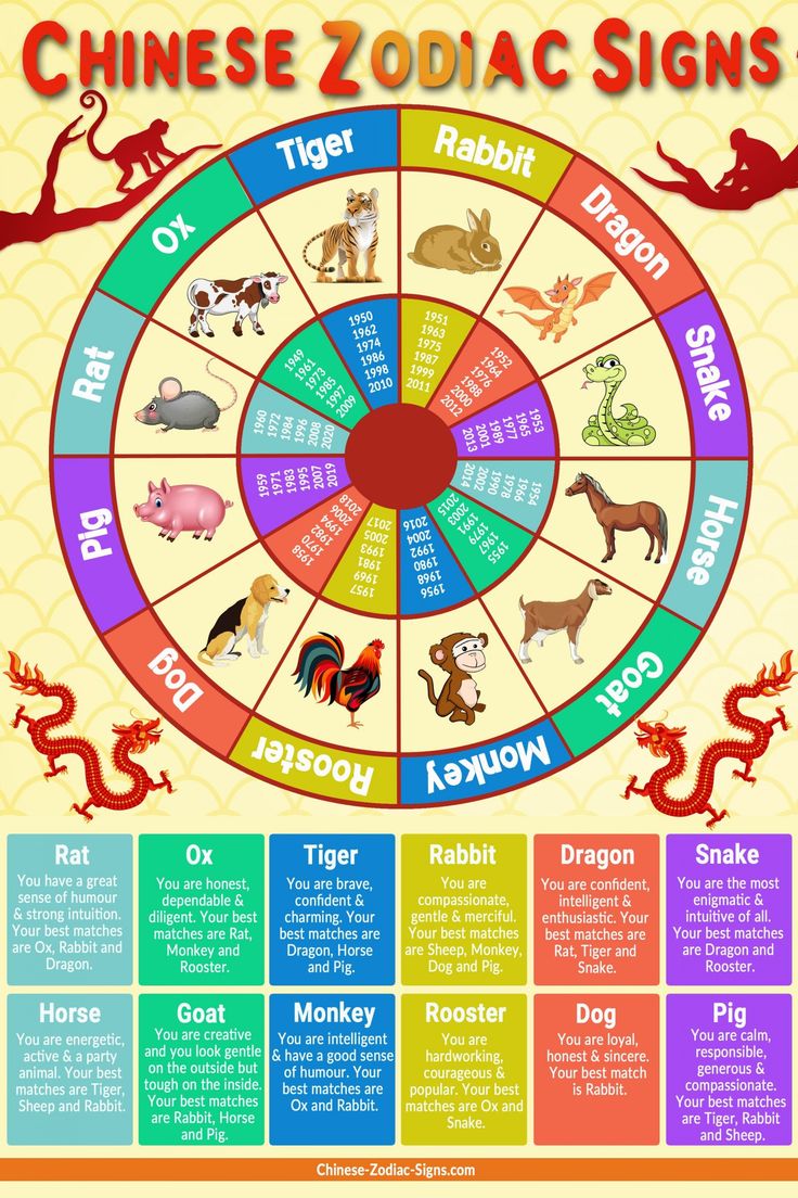 What is 1999 chinese zodiac 60 photos - Astrologytoyou.com