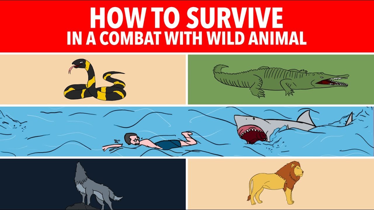 Wild Animal Attack Top 10 INSANE Animal Attack Survival Stories