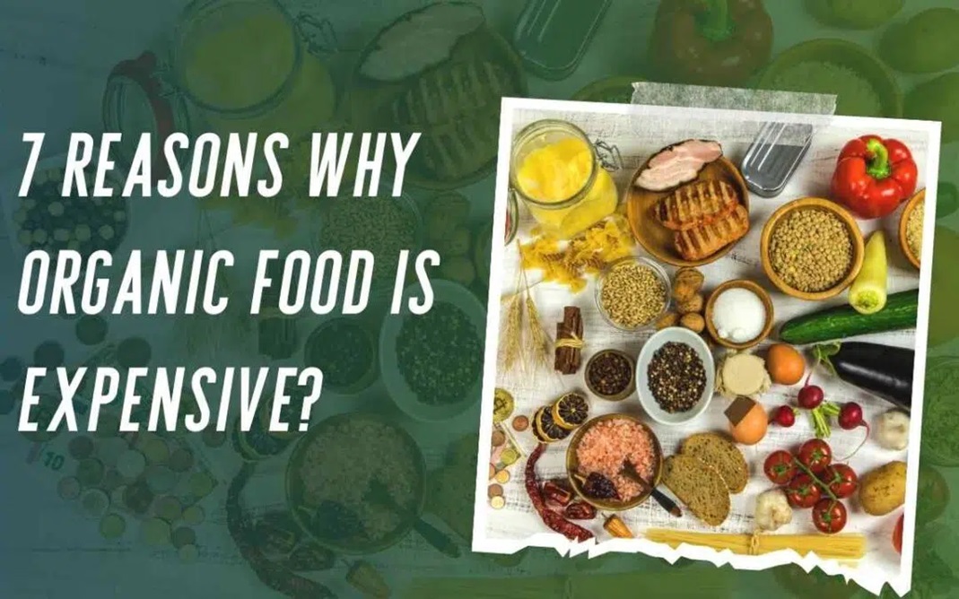 Organic Food Expensive