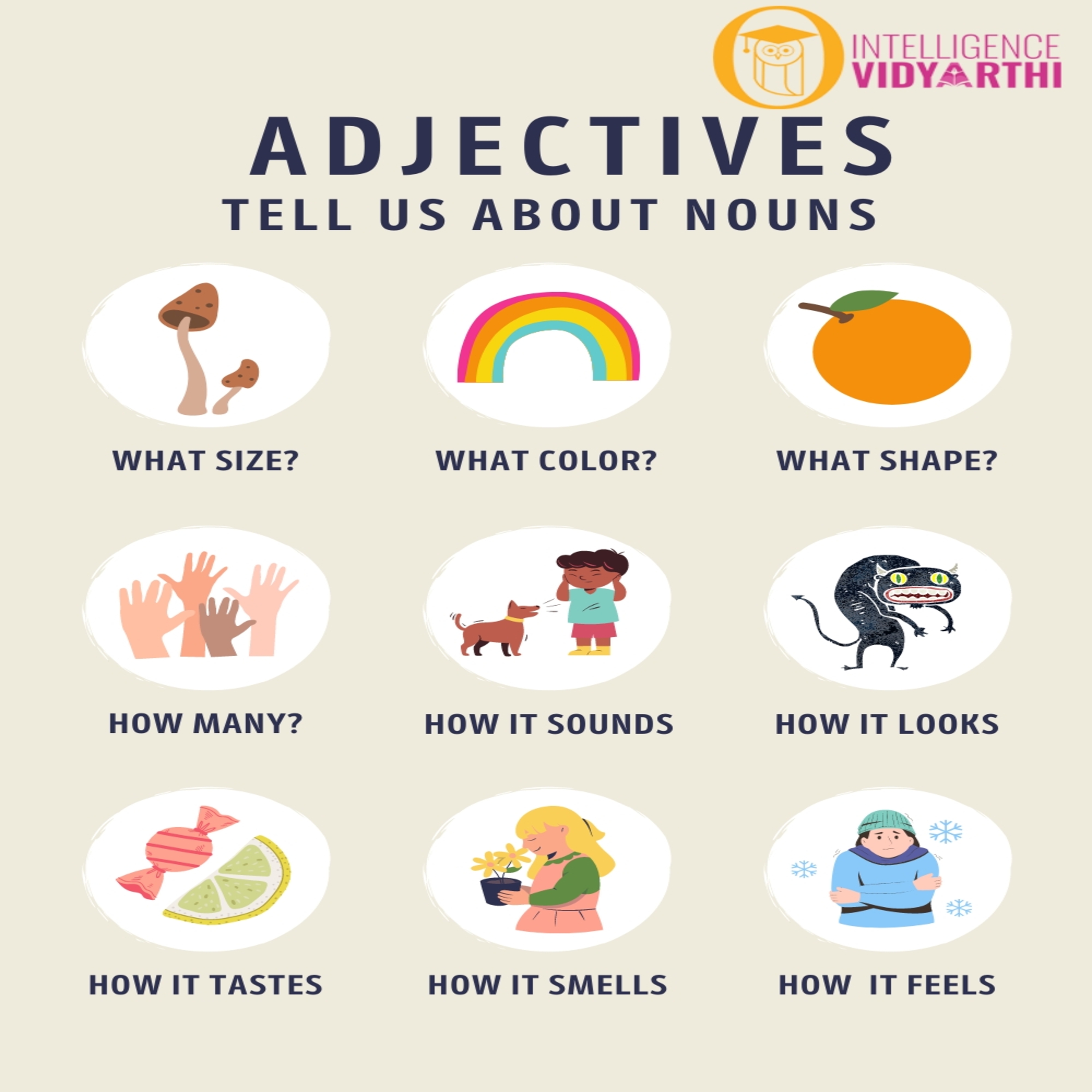 Nouns And Adjectives Vocabulary | Learn English | EnglishClub