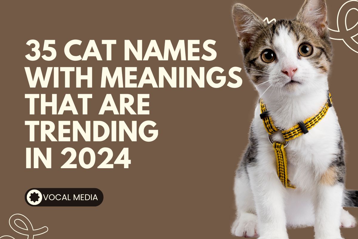 Male Cat Names And Meanings