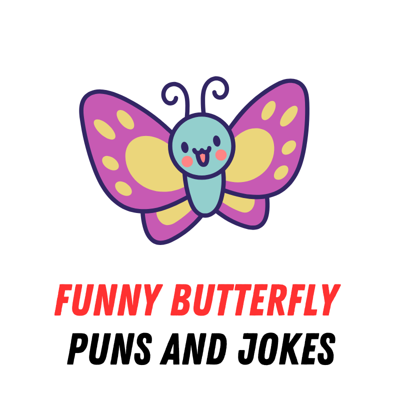 Butterfly Funny Ones New Toon For @narrativemag . . . . #cartoons
