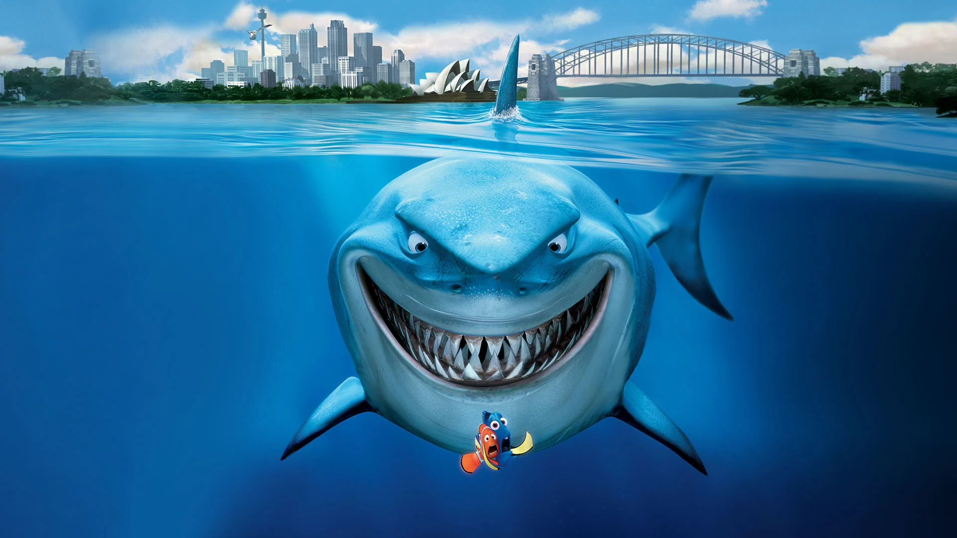 Buscando A Nemo Bruce HD Bruce (finding Nemo) Wallpapers | Peakpx