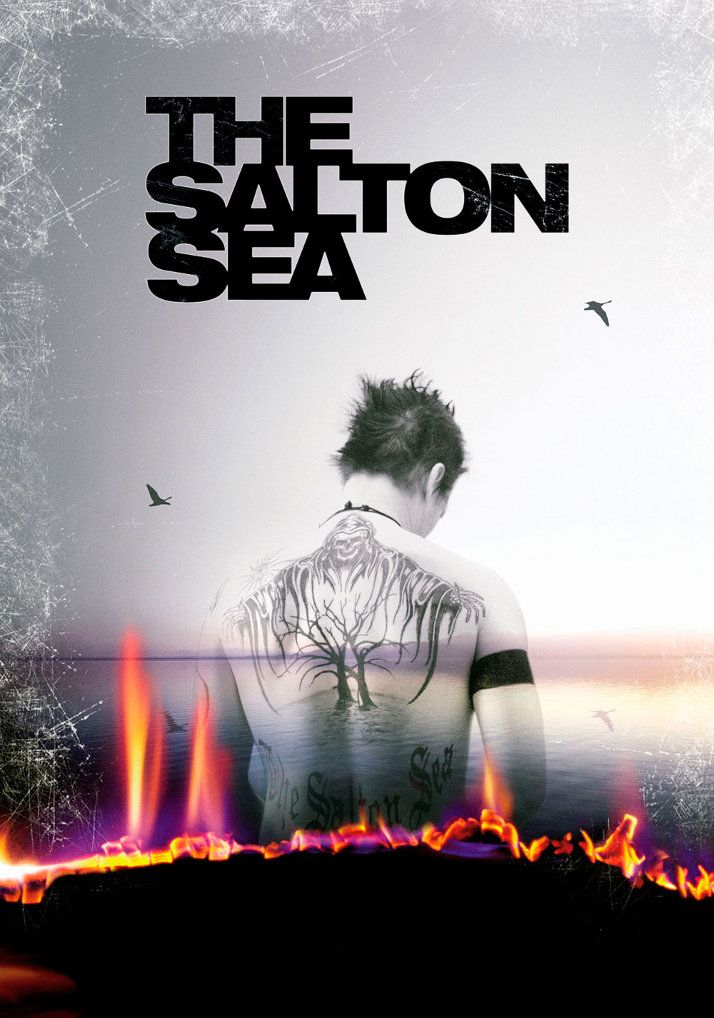 The Salton Sea 2002