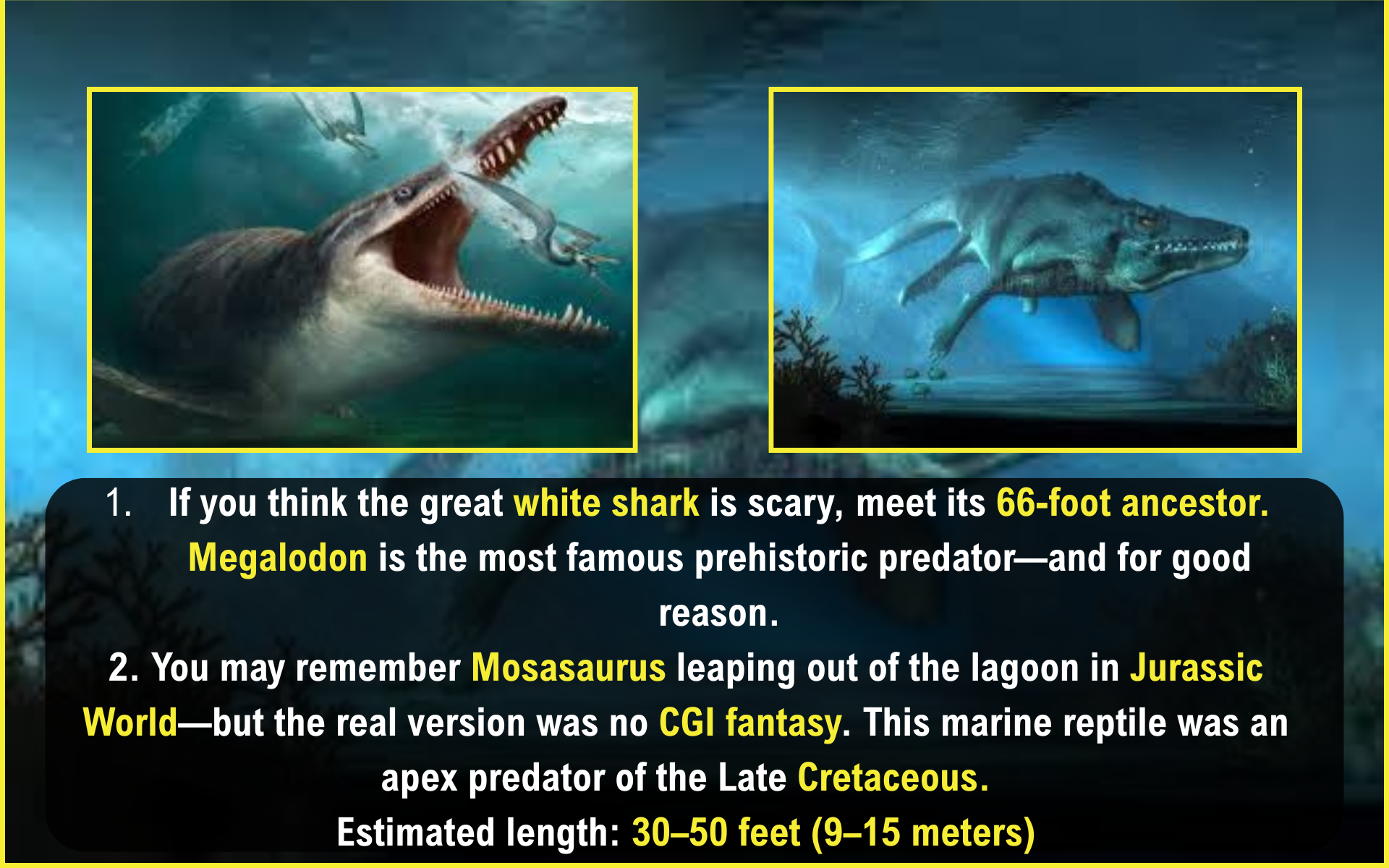 Kronosaurus Vs Megalodon