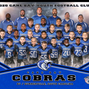 Cobras Youth Sports Organization