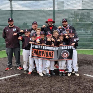 Buckeye Elite Sports Group