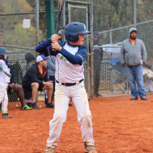 Fury Baseball