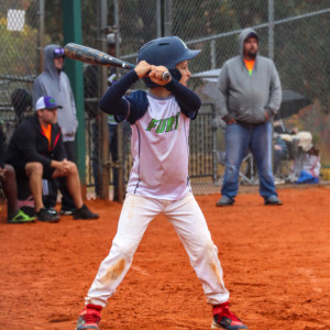 Fury Baseball