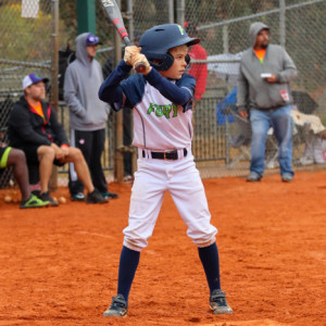 Fury Baseball