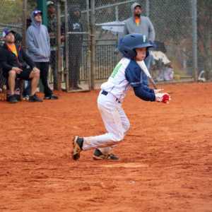 Fury Baseball