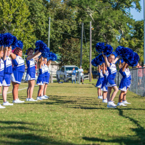 Wakulla County Youth Football & Cheerleading Association Inc.