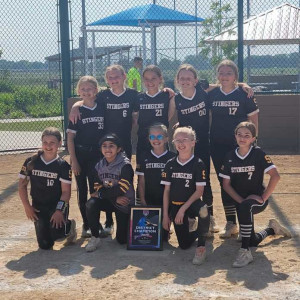 Stingers Softball