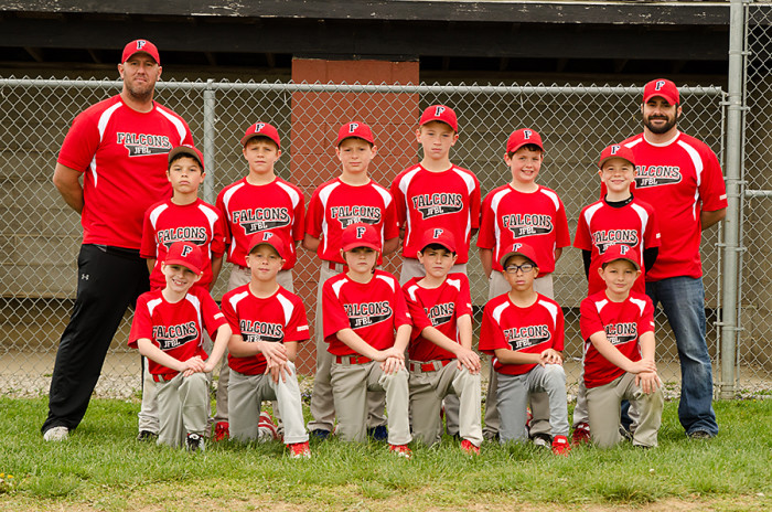 Junior Falcon Baseball League