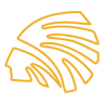 Andale Indians Football Logo