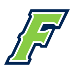 Fury Baseball