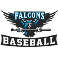 Falcons Baseball - Team
