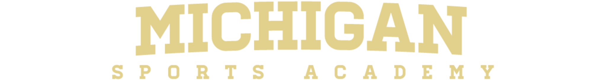 Michigan Sports Academy