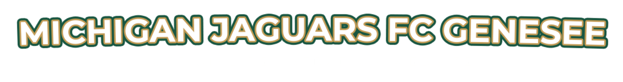 Michigan Jaguars FC Genesee